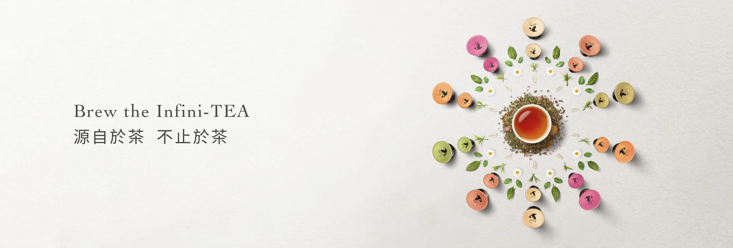 TEA CHÂTEAU 香港 │ 與別不同的養生茶體驗 │ 了解及訂購沖泡茶機及養生茶囊 - TEA CHÂTEAU 香港