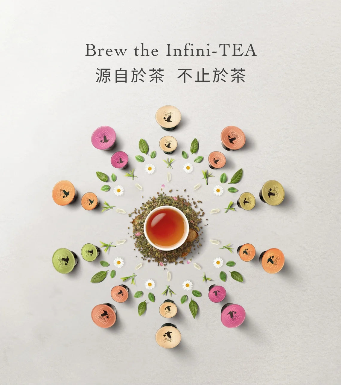 TEA CHÂTEAU 香港 │ 與別不同的養生茶體驗 │ 了解及訂購沖泡茶機及養生茶囊 - TEA CHÂTEAU 香港